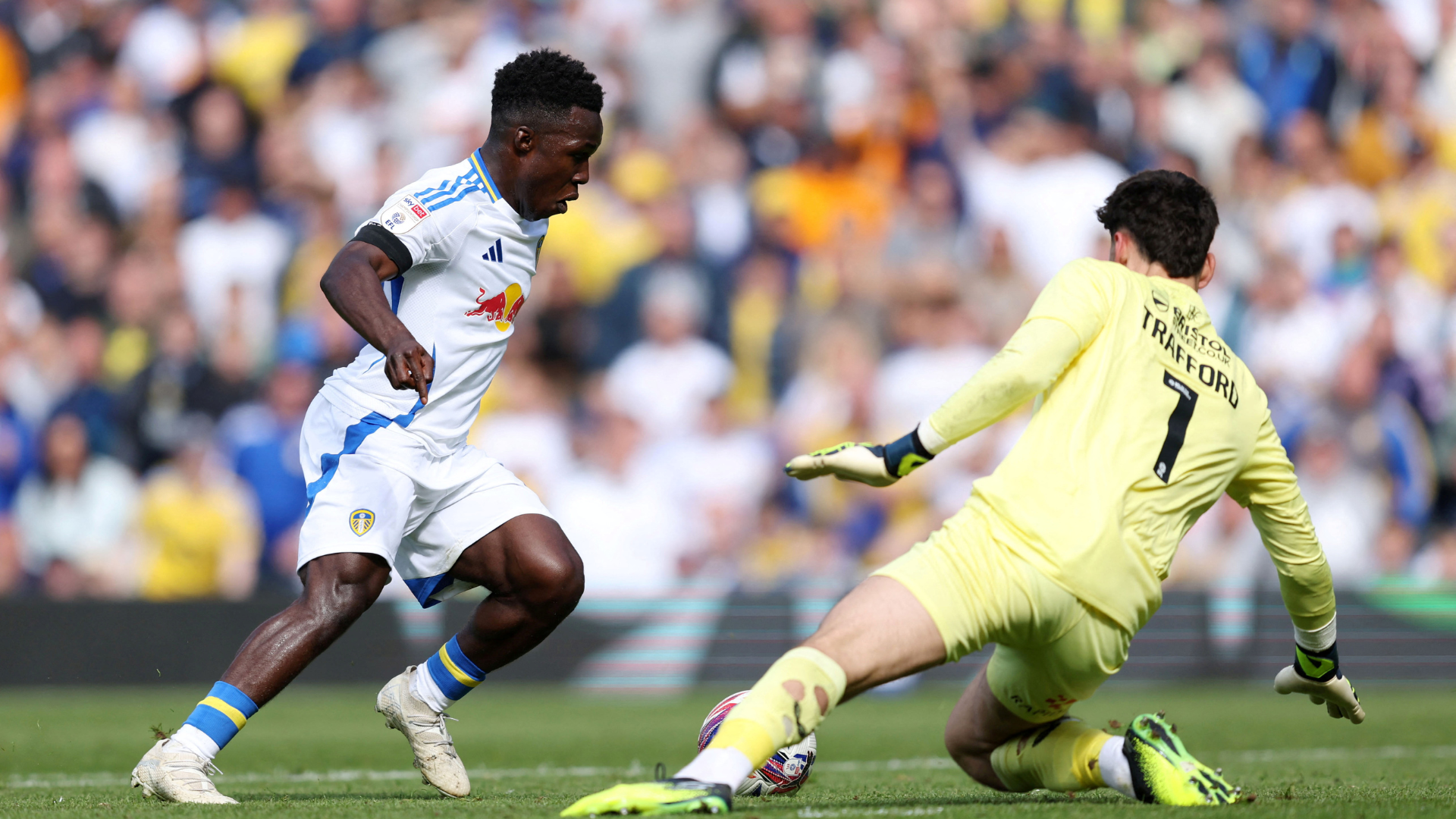Leeds United: Potential Willy Gnonto exit from Elland Road debated as ...