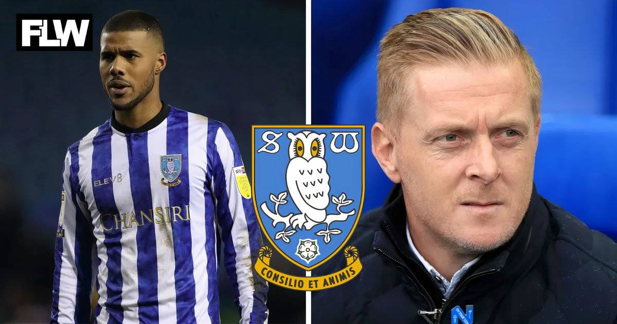 Sheffield Wednesday: Garry Monk called striker deal a "no brainer" but ...