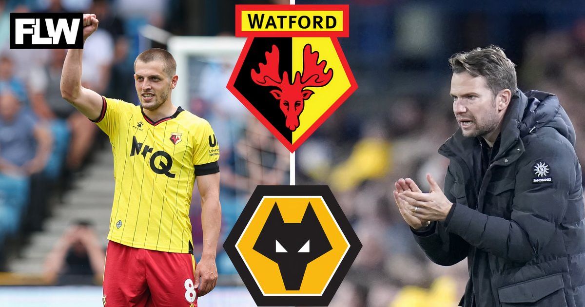 Watford FC: Wolves face Giorgi Chakvetadze fight after Tom Cleverley claim