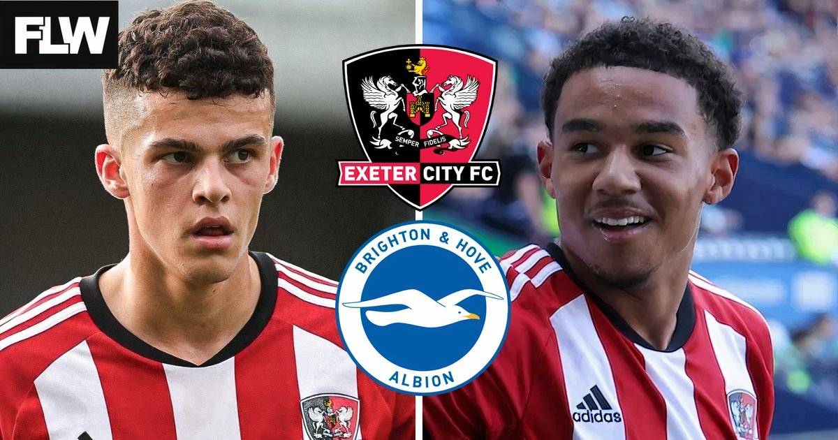 Brighton, Kamari Doyle evidence should fuel Exeter City January exit ...