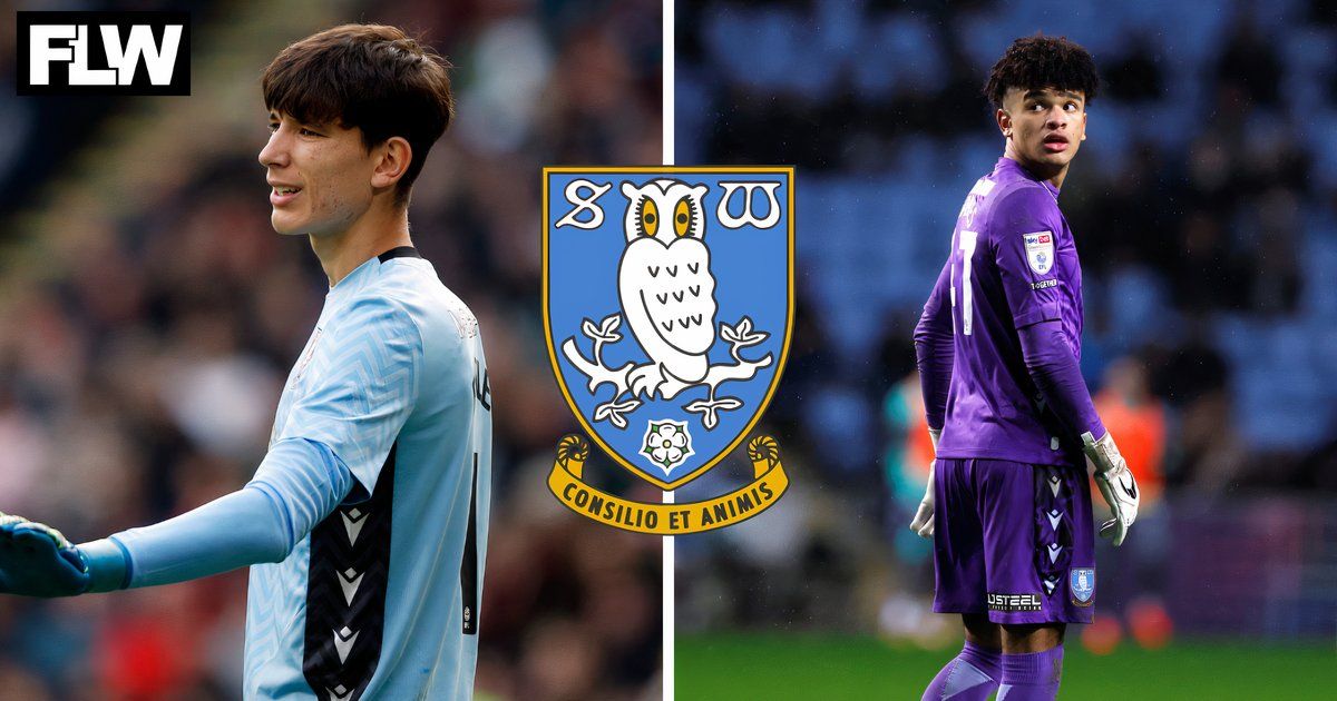 Sheffield Wednesday: Danny Roh's stance on James Beadle, Pierce Charles ...