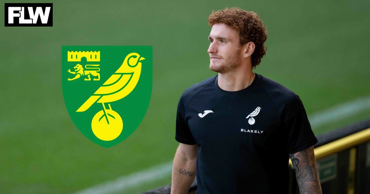 Confirmed: Norwich City dealt big Josh Sargent blow Confirmed: Norwich City dealt big Josh Sargent blow