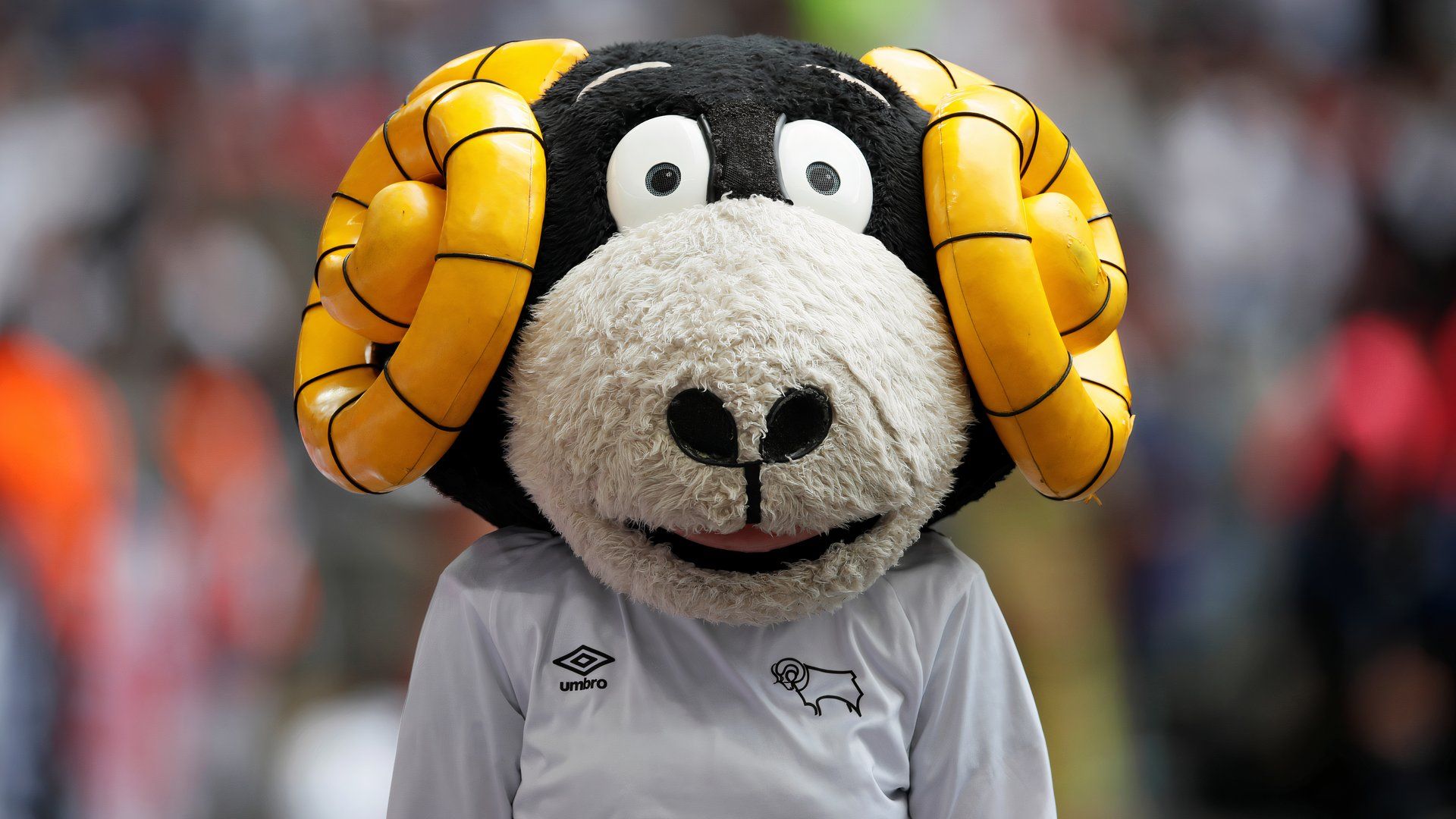 Explained: The exact reason why Derby County are nicknamed the Rams