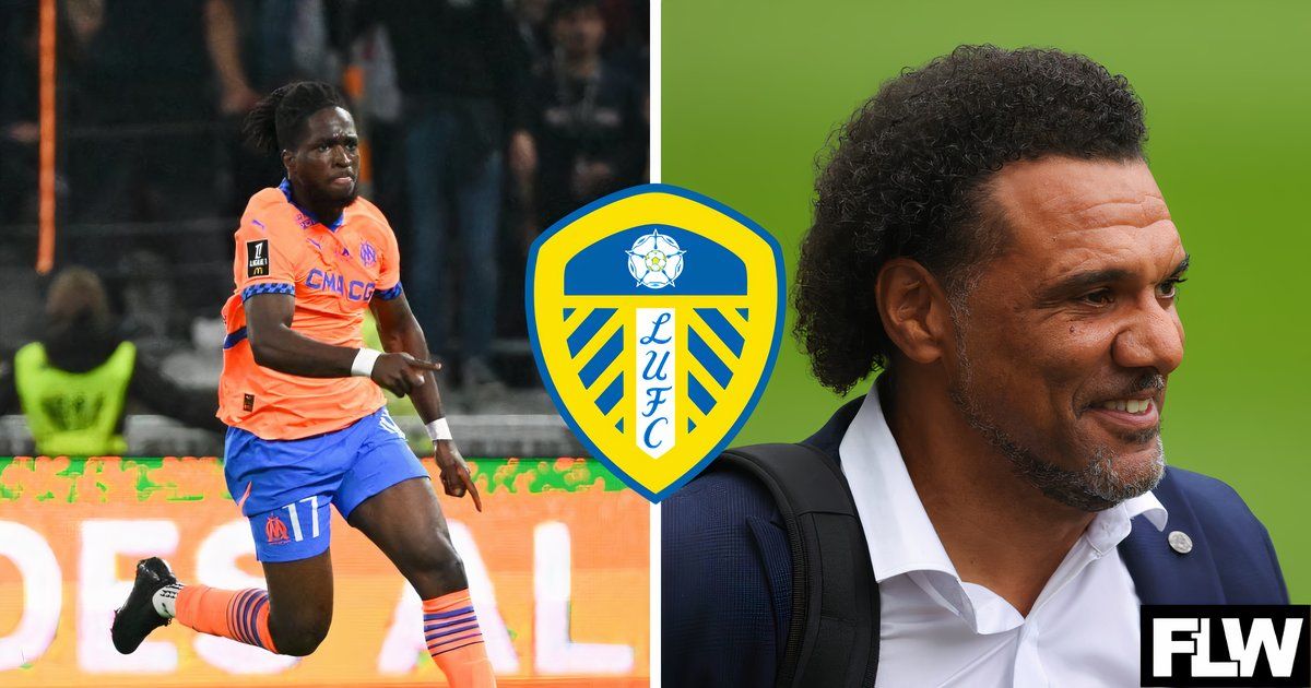 Sky Sports pundit opens up on Leeds United's Norwich City transfer miss