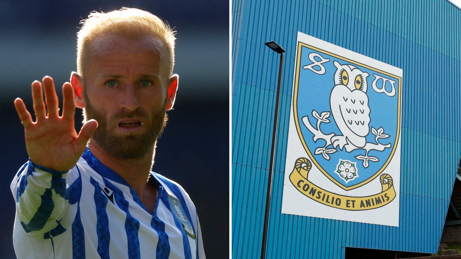 Sheffield Wednesday will seriously miss class operator Barry Bannan ...