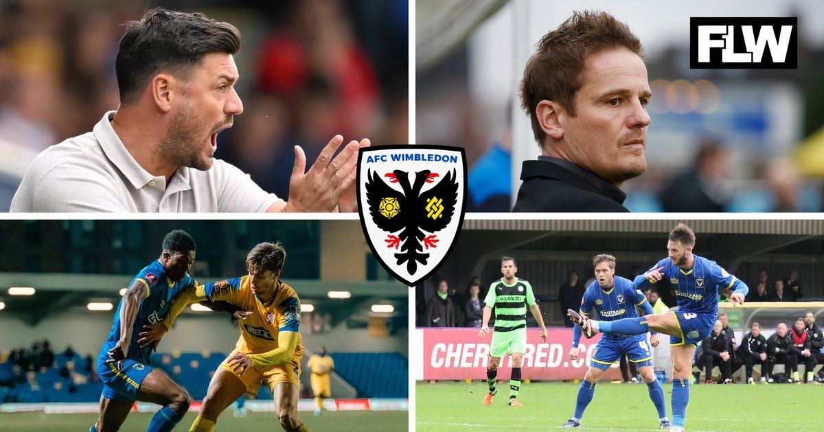 AFC Wimbledon: FA Cup shame can feed promotion push - just ask Neal Ardley