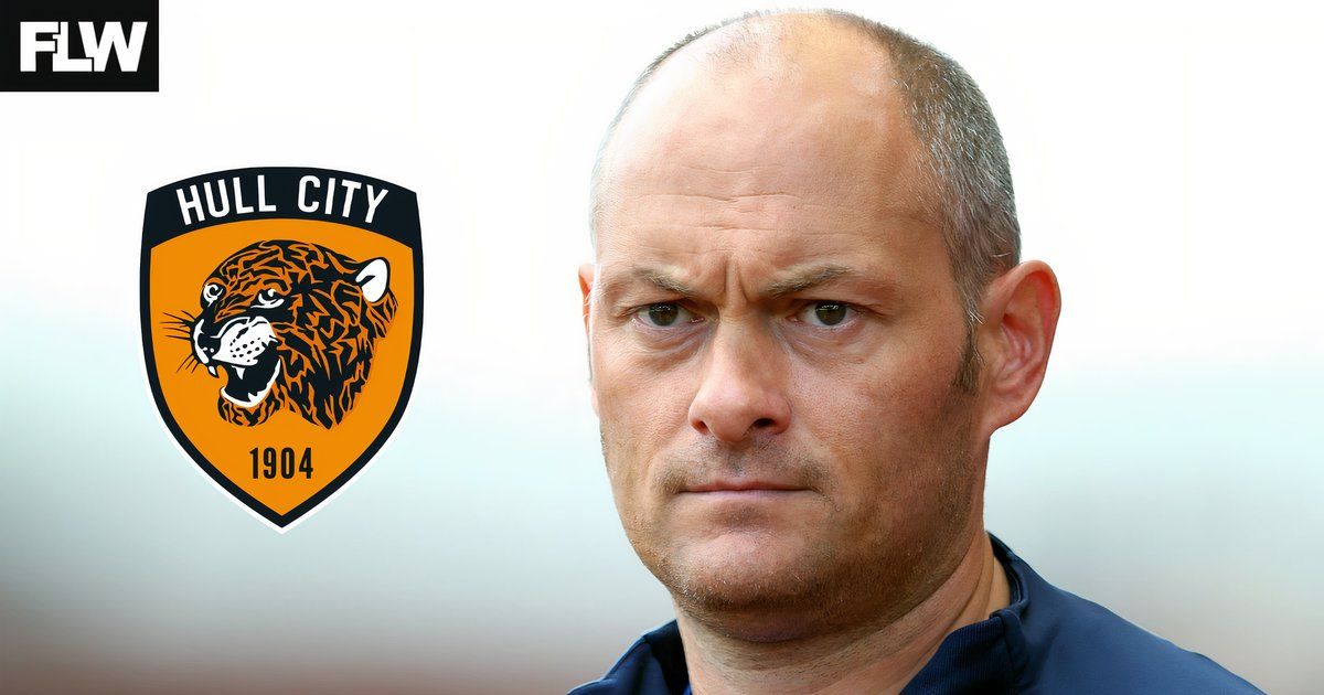 Hull City: Alex Neil labelled underwhelming option