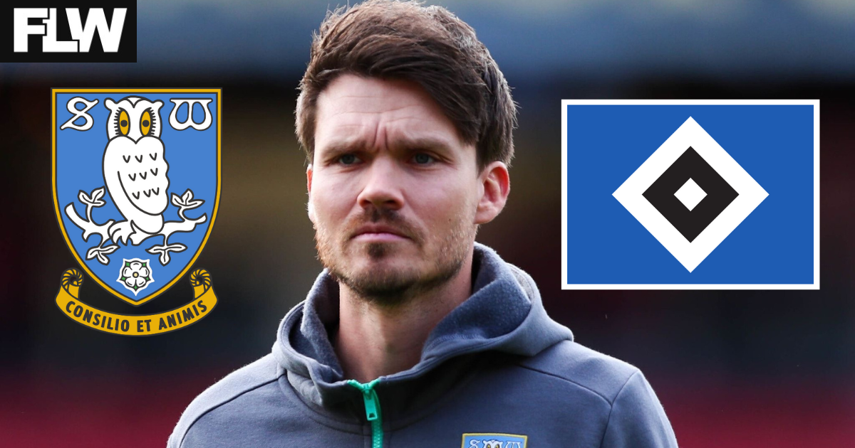 “Wouldn’t be worried” – Sheffield Wednesday: Danny Rohl, Hamburg links ...