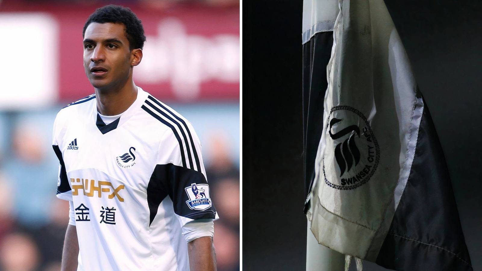 Swansea City: Bolton Wanderers, David Ngog swoop is not a blueprint to ...