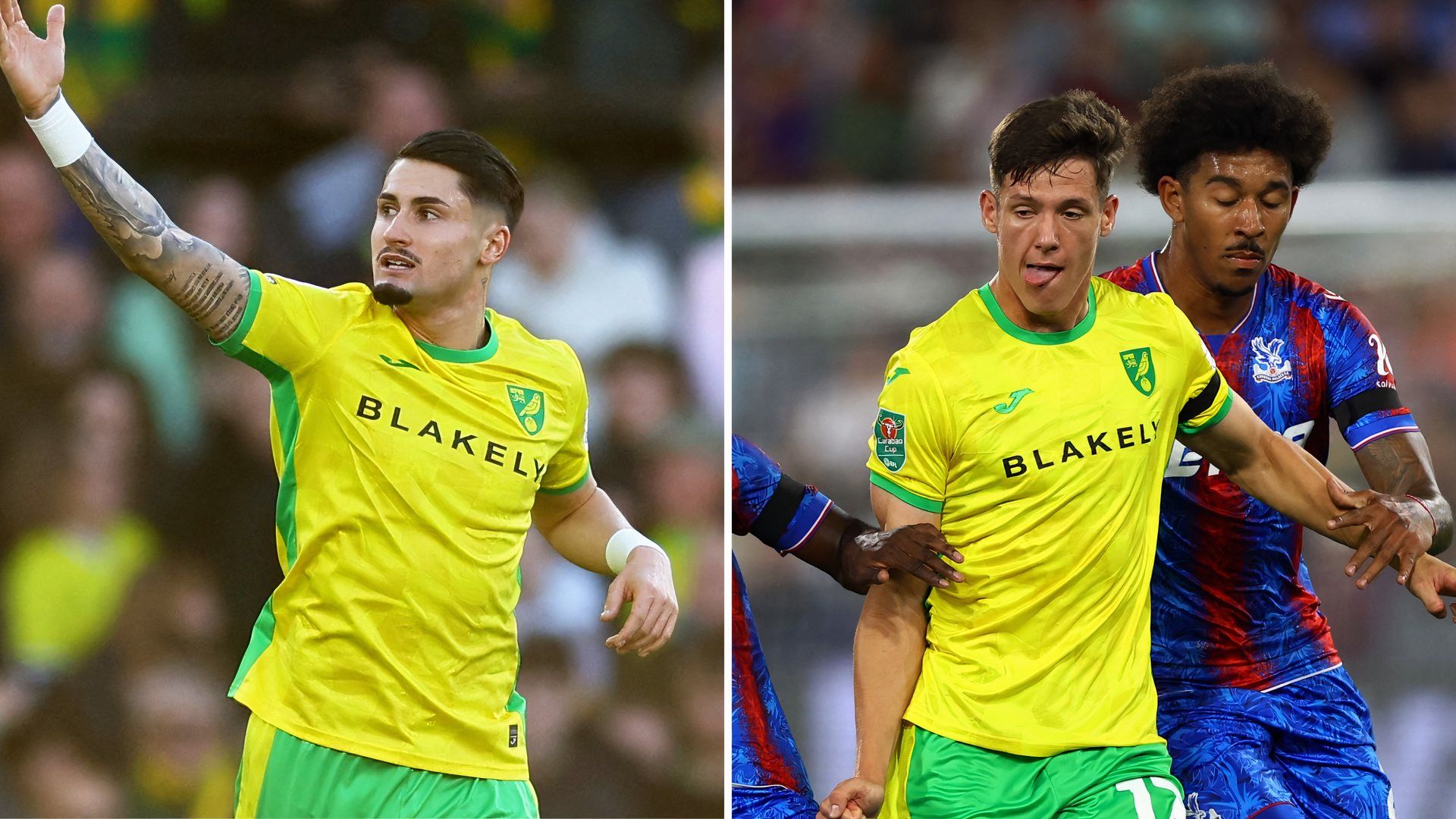 Potential Borja Sainz exit at Norwich City can be eased by Ante Crnac