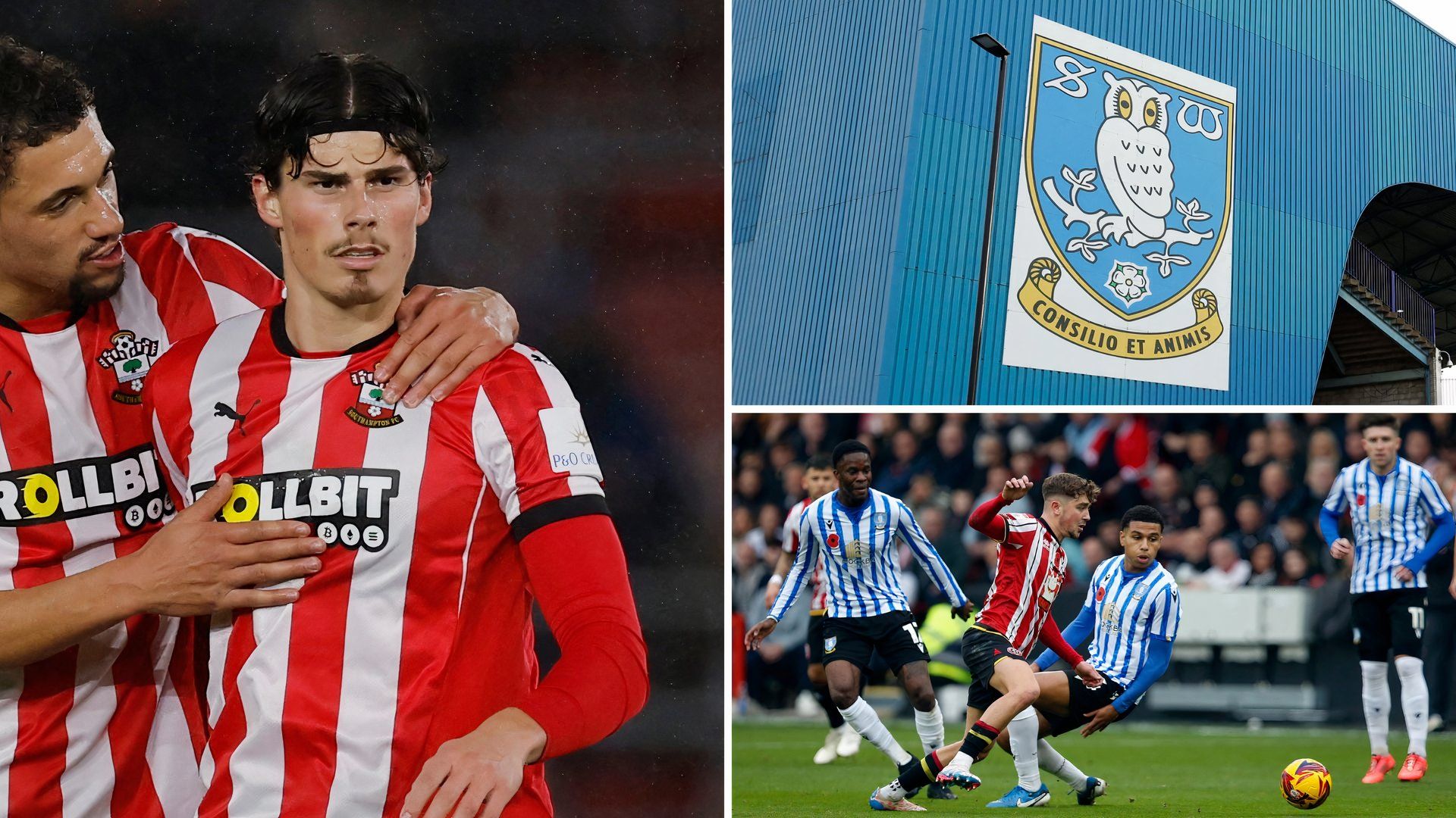 Ronnie Edwards: Sheffield Wednesday have Southampton, Shea Charles ...