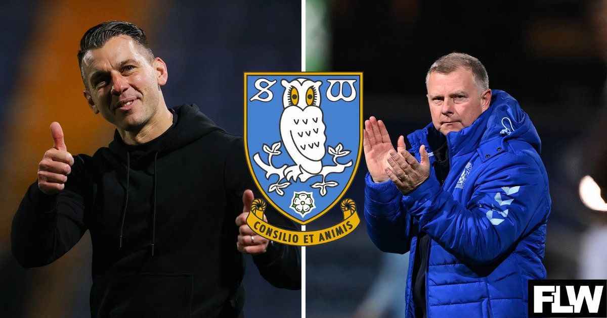 3 Danny Rohl replacements Sheffield Wednesday must consider if ...