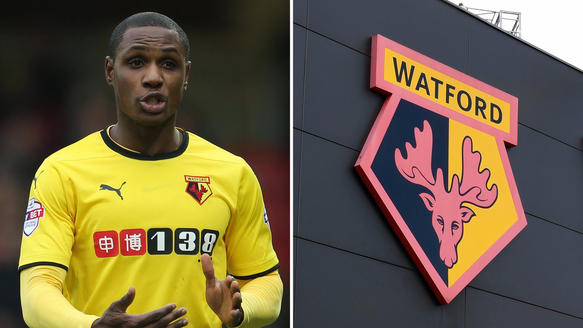 Watford transfers store