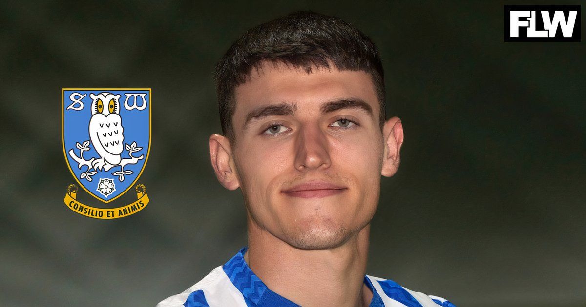Sheffield Wednesday: Danny Rohl drops new update on Olaf Kobacki situation