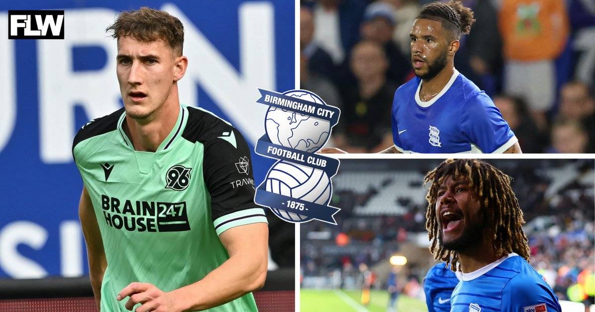 Birmingham City transfers we urge the club to make before February 3rd