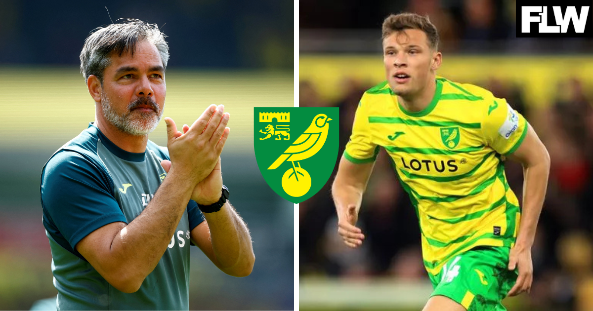 Norwich City: Lessons must be learned from Ben Knapper, Sydney Van ...