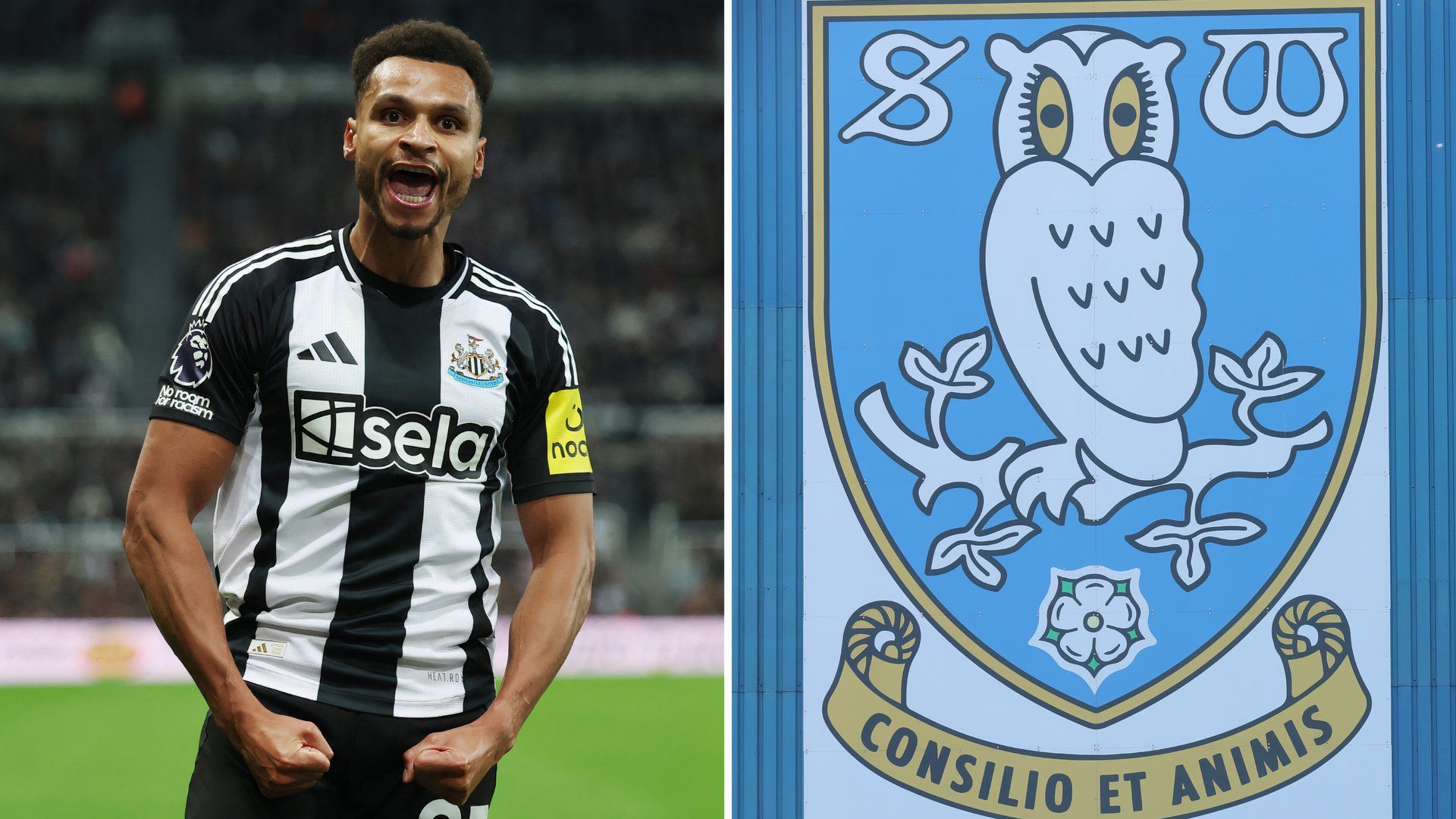 Sheffield Wednesday struck gold with Jacob Murphy now starring at ...