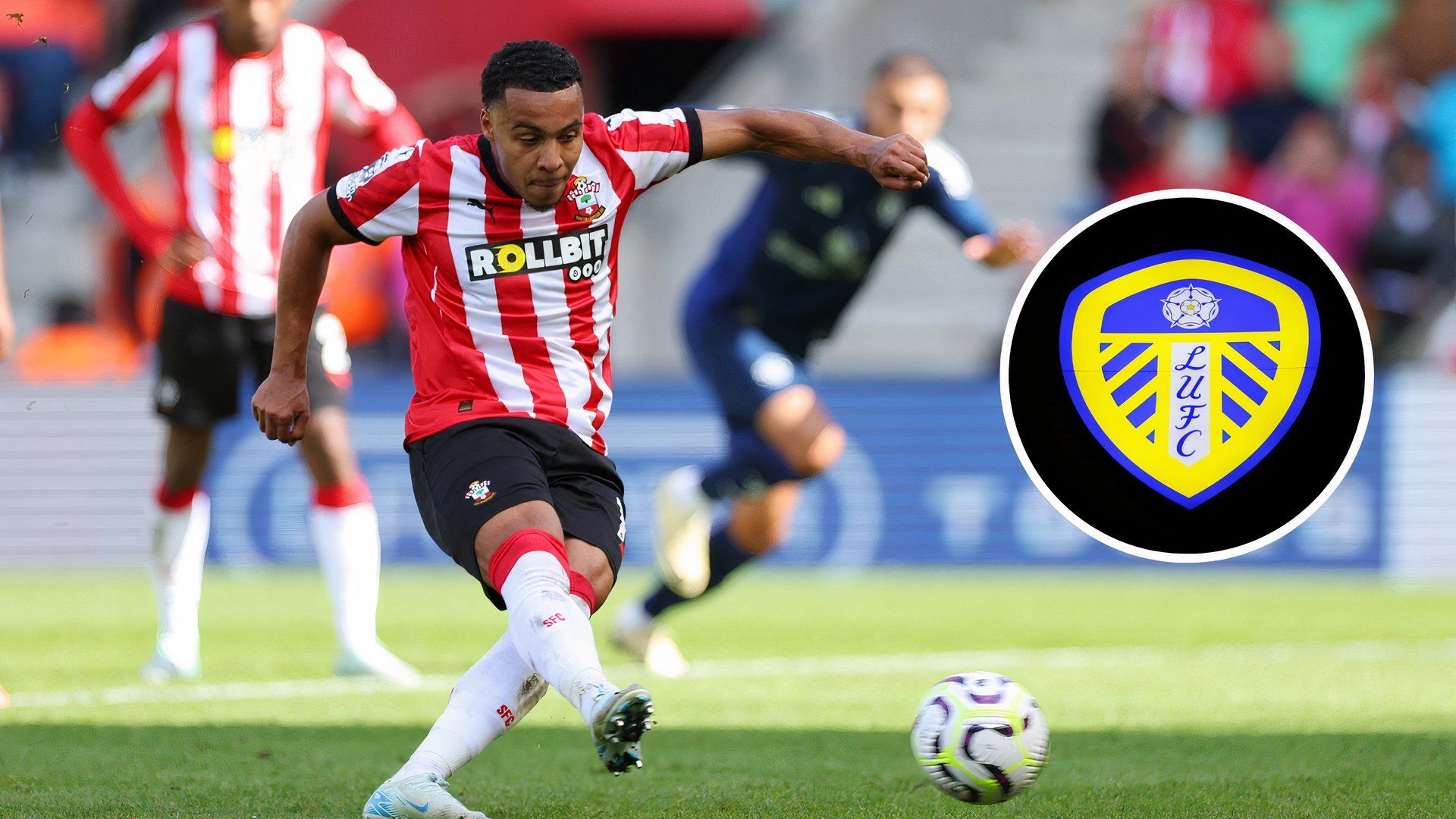 Leeds United urged to "set their bar higher" than Southampton's Cameron Archer