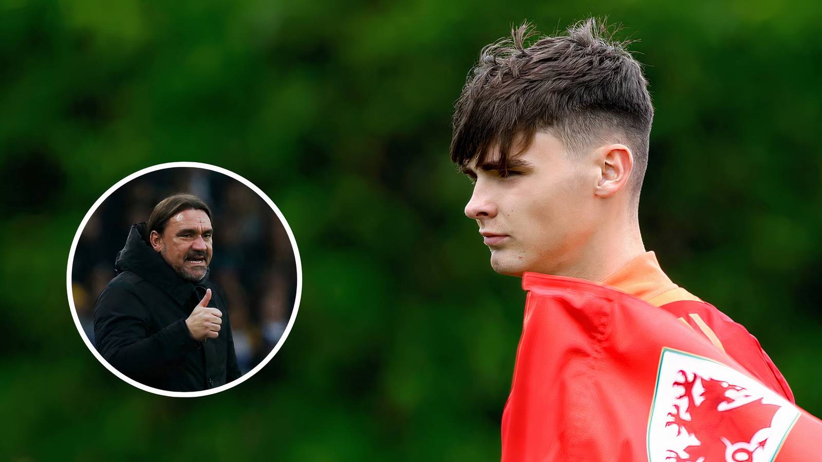 Harry Gray and Charlie Crew could save Leeds United millions in ...