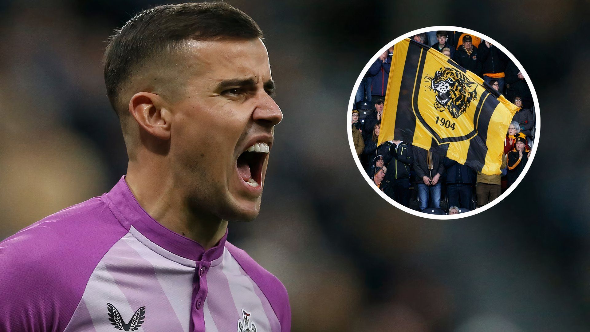 Hull City pulled a blinder with short-term Newcastle United deal