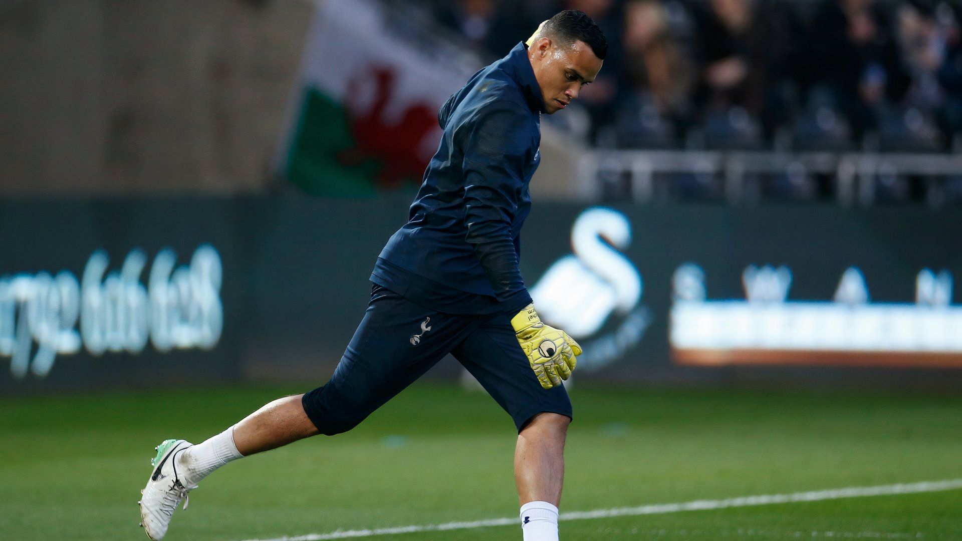 Michel Vorm on his time at Swansea City, Lawrence Vigouroux, Luke ...