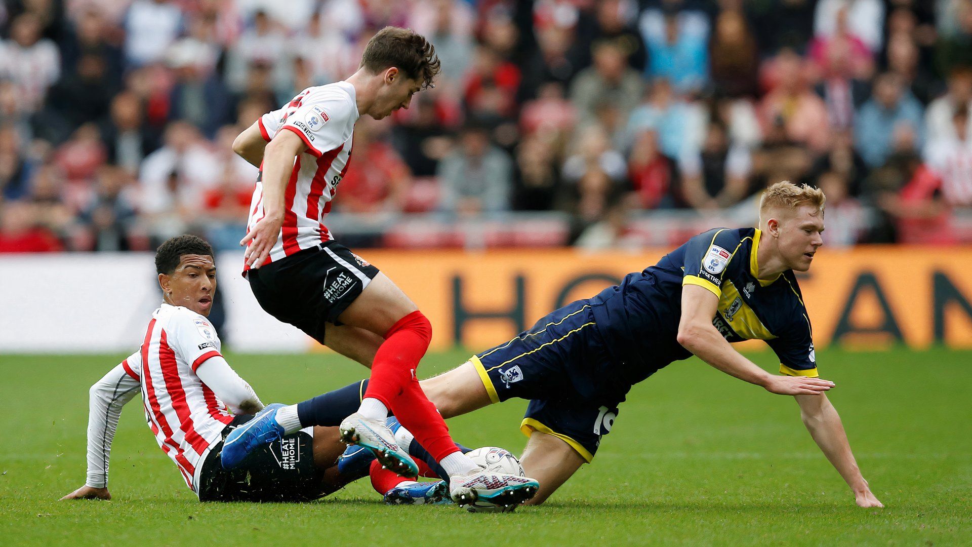 Sunderland AFC: Regis Le Bris will be hoping he gets 2022-23 version of ...