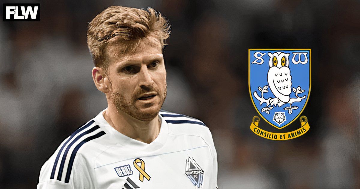 Sheffield Wednesday urged to sign Stuart Armstrong on "significantly ...