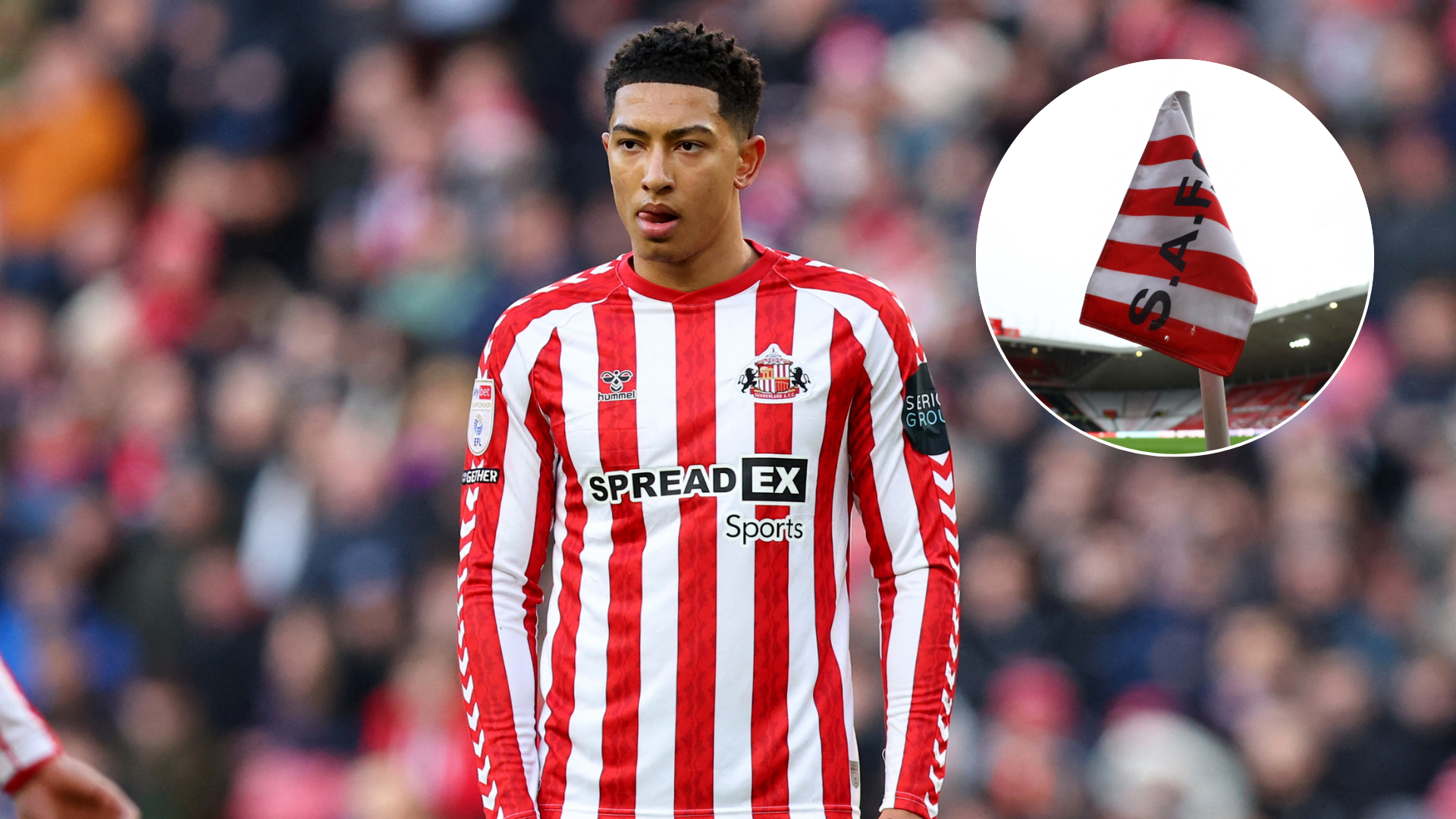 Norwich City should start engines for January loan departure of Brad Hills