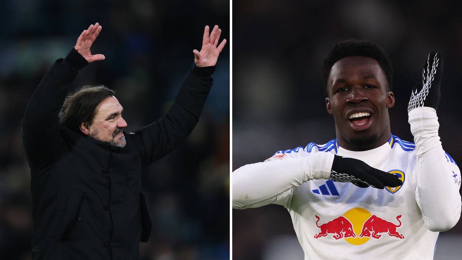 Daniel Farke's Sunderland decisions suggest Leeds United may rue ...
