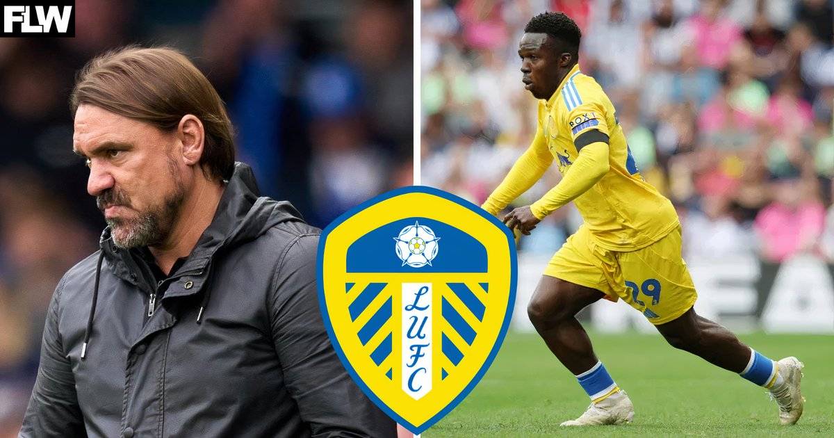 Daniel Farke's Sunderland decisions suggest Leeds United may rue ...