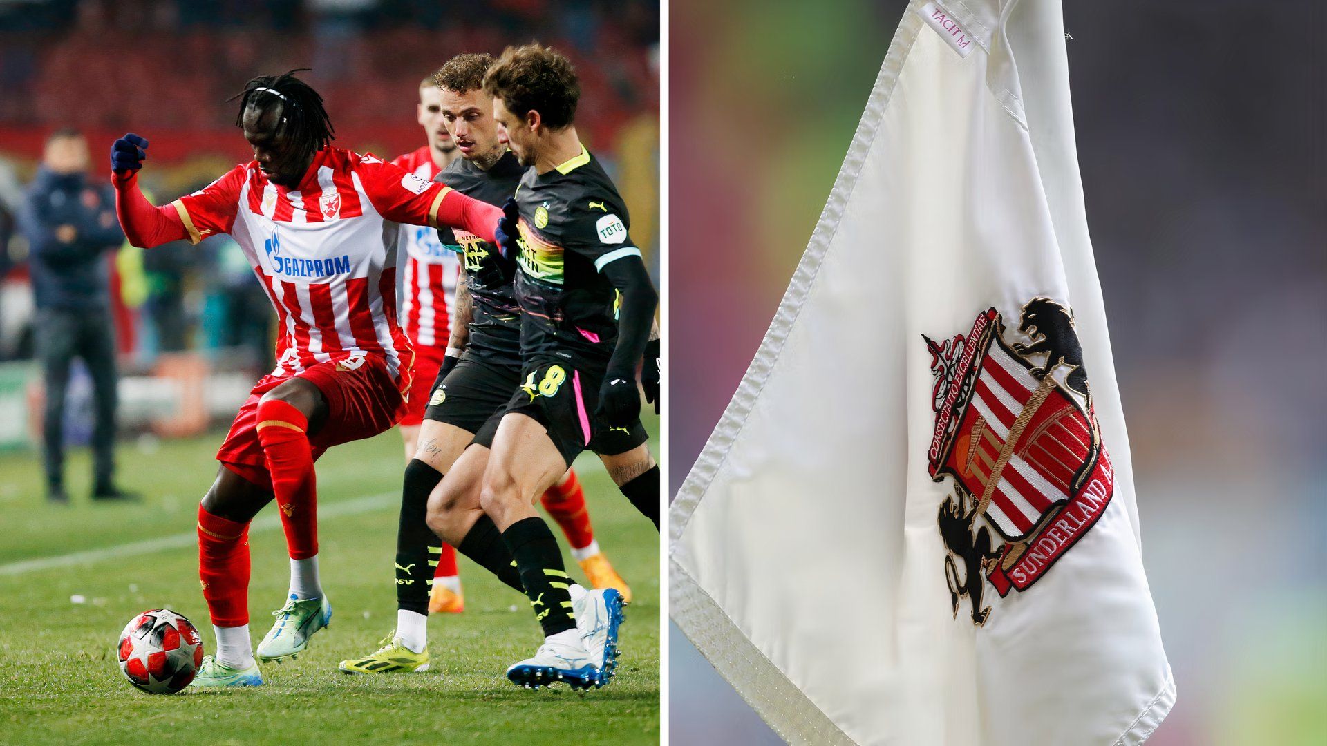 Sunderland eye Red Star Belgrade striker Pape Cherif Ndiaye