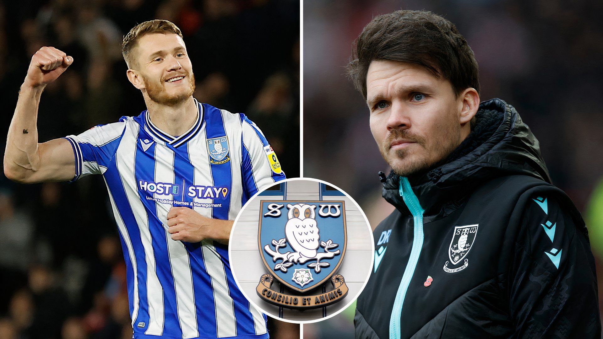 Danny Rohl makes “long term” Sheffield Wednesday claim after Burnley FC ...