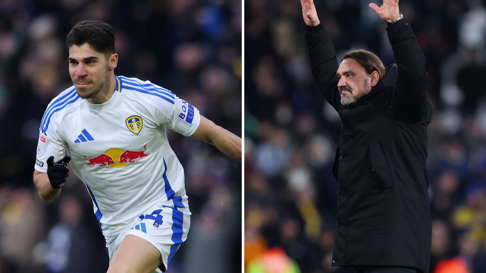 Leeds United urged to pursue Tottenham, Manor Soloman "bargain" this summer