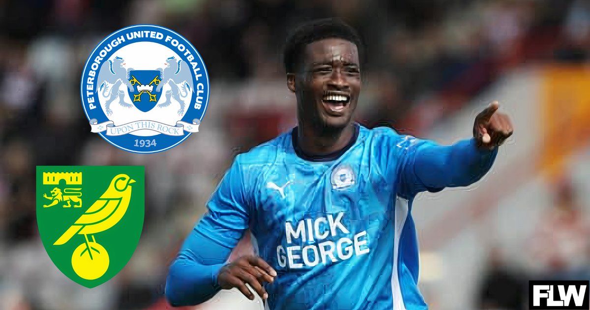 Norwich City abandon deal for Peterborough United's Emmanuel Fernandez