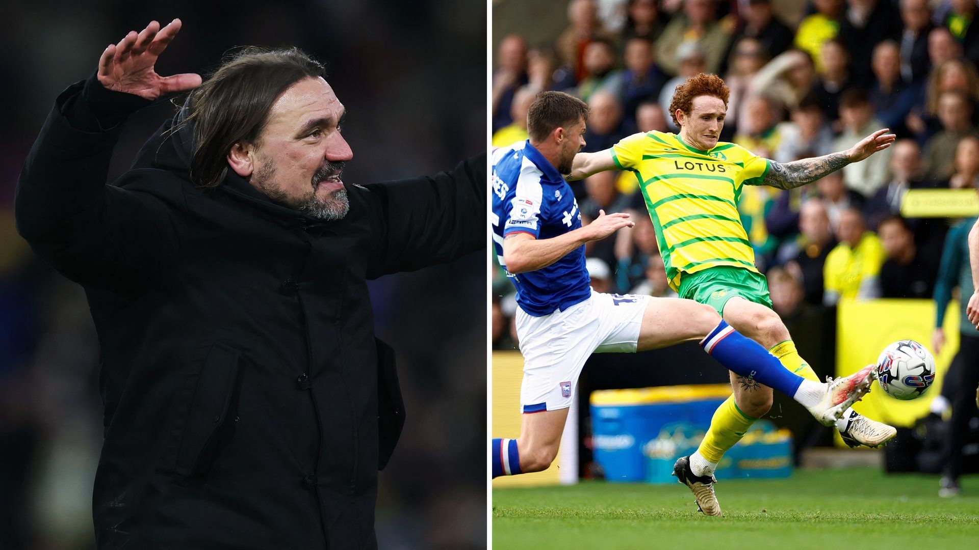 "Strange one" - Leeds United hunt for Norwich City's Josh Sargent ...