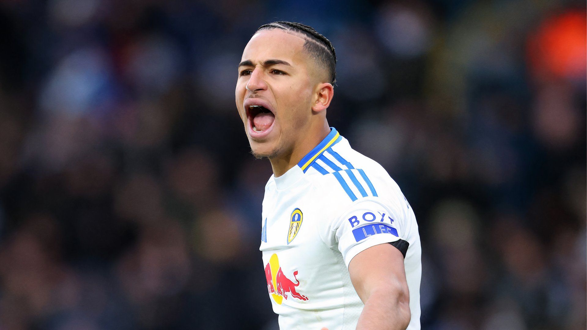 “Premier League-quality” – Leeds United lauded for late-window Mateo ...