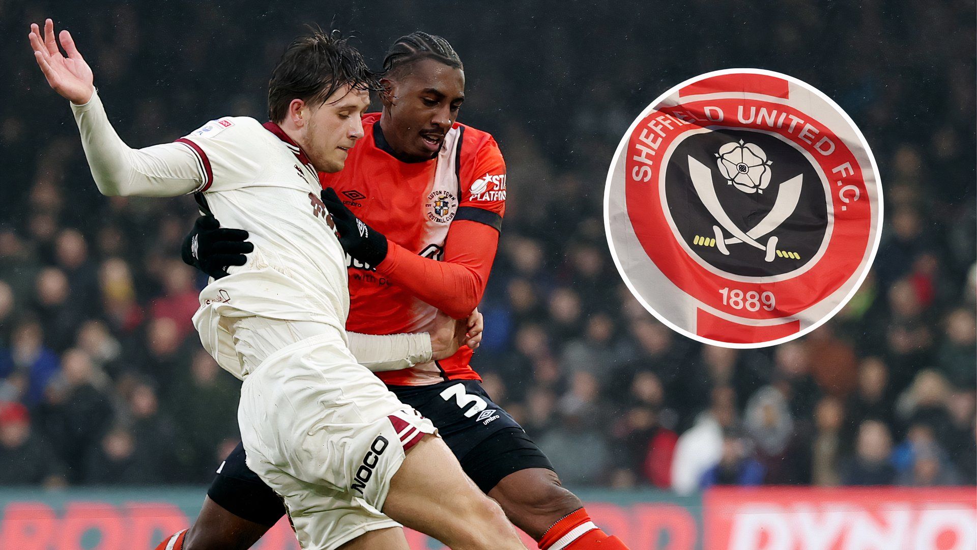 "Very, very excited" - Claim made on Sydie Peck's future at Sheffield ...