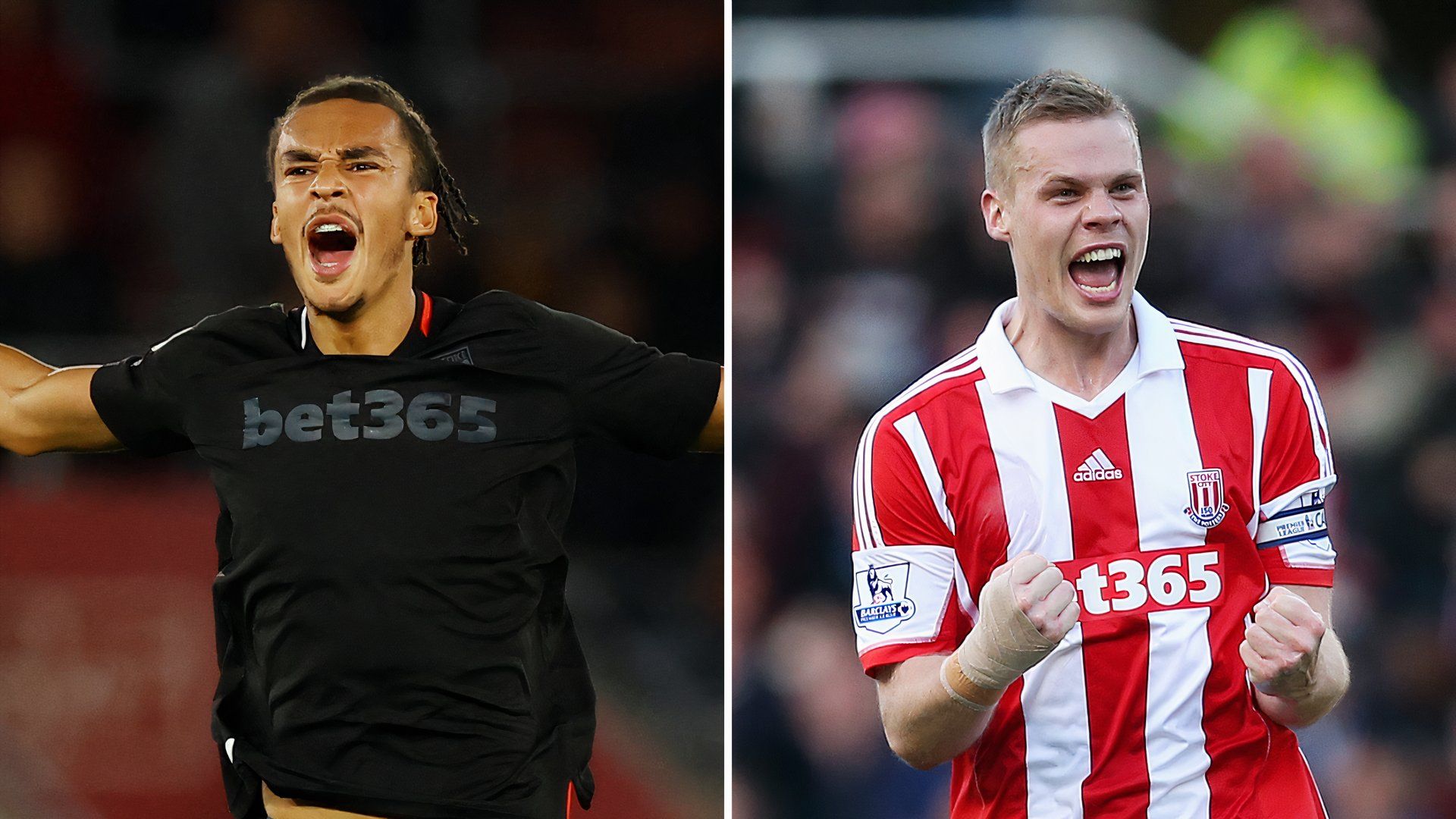 Stoke City hope Tottenham can provide them with Ryan Shawcross 2.0 in ...
