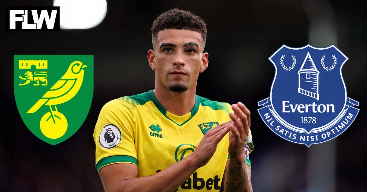 Norwich City will feel like the winners from £25m Everton transfer