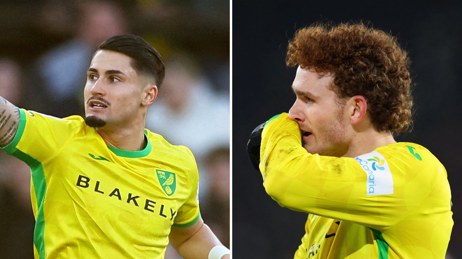 £15k-per-week Norwich City man should follow Josh Sargent out of Carrow ...