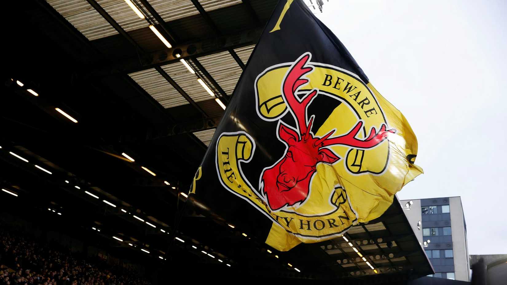 Claim made on future of Gino Pozzo at Watford FC