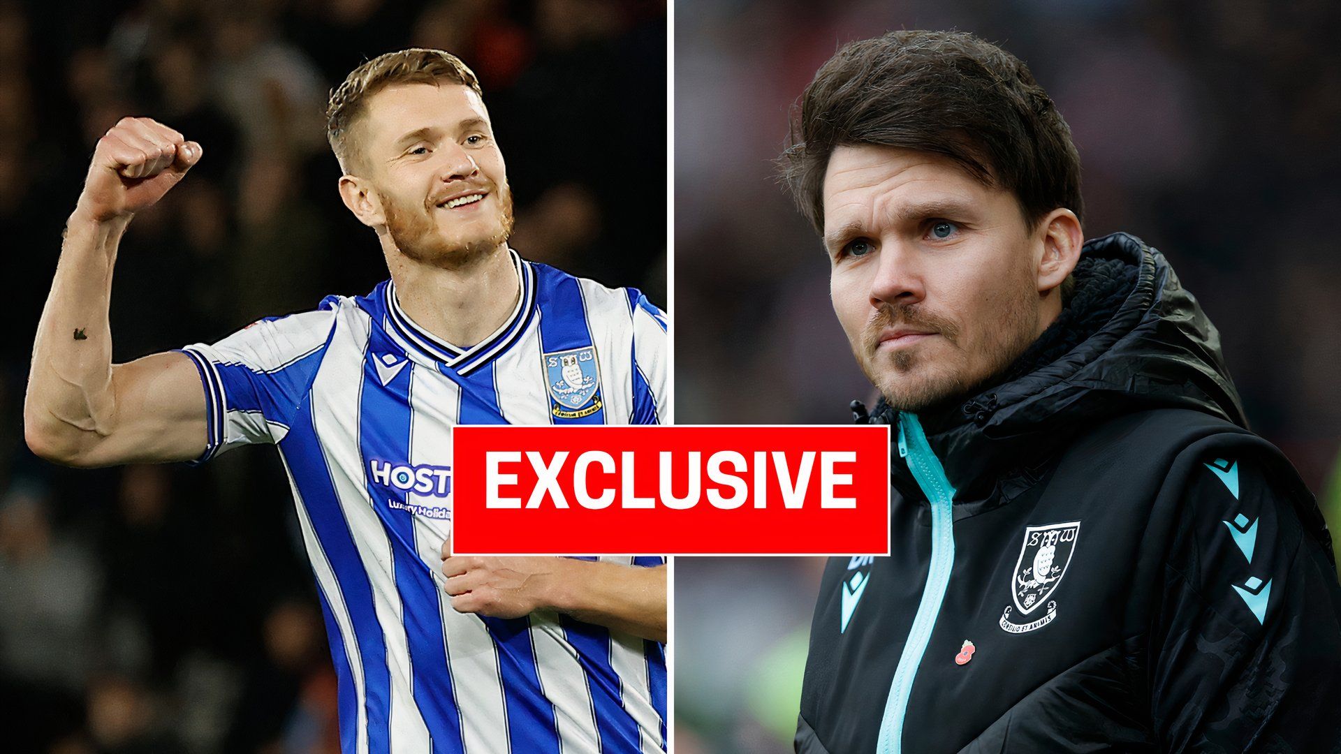 Exclusive: Sky Sports pundit urges Sheffield Wednesday to take Michael ...