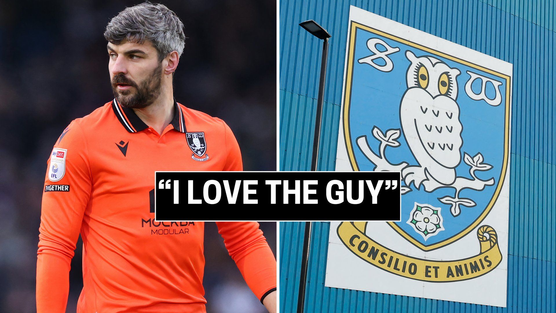 Factor that should land Callum Paterson a new Sheffield Wednesday deal ...