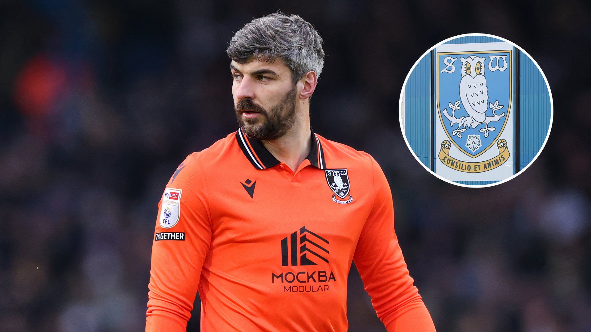 Why are Sheffield Wednesday nicknamed the Owls?