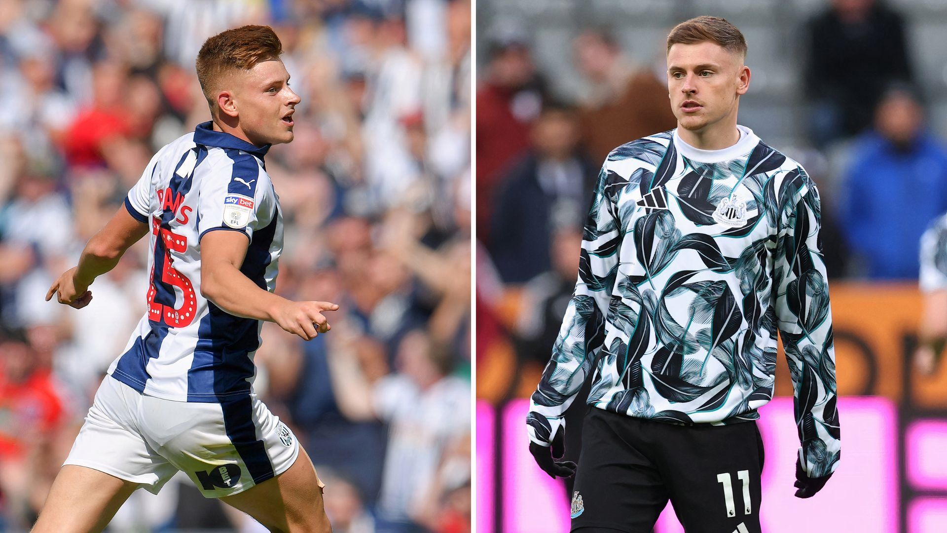 West Brom are lucky to taste what Leicester and Newcastle have with ...