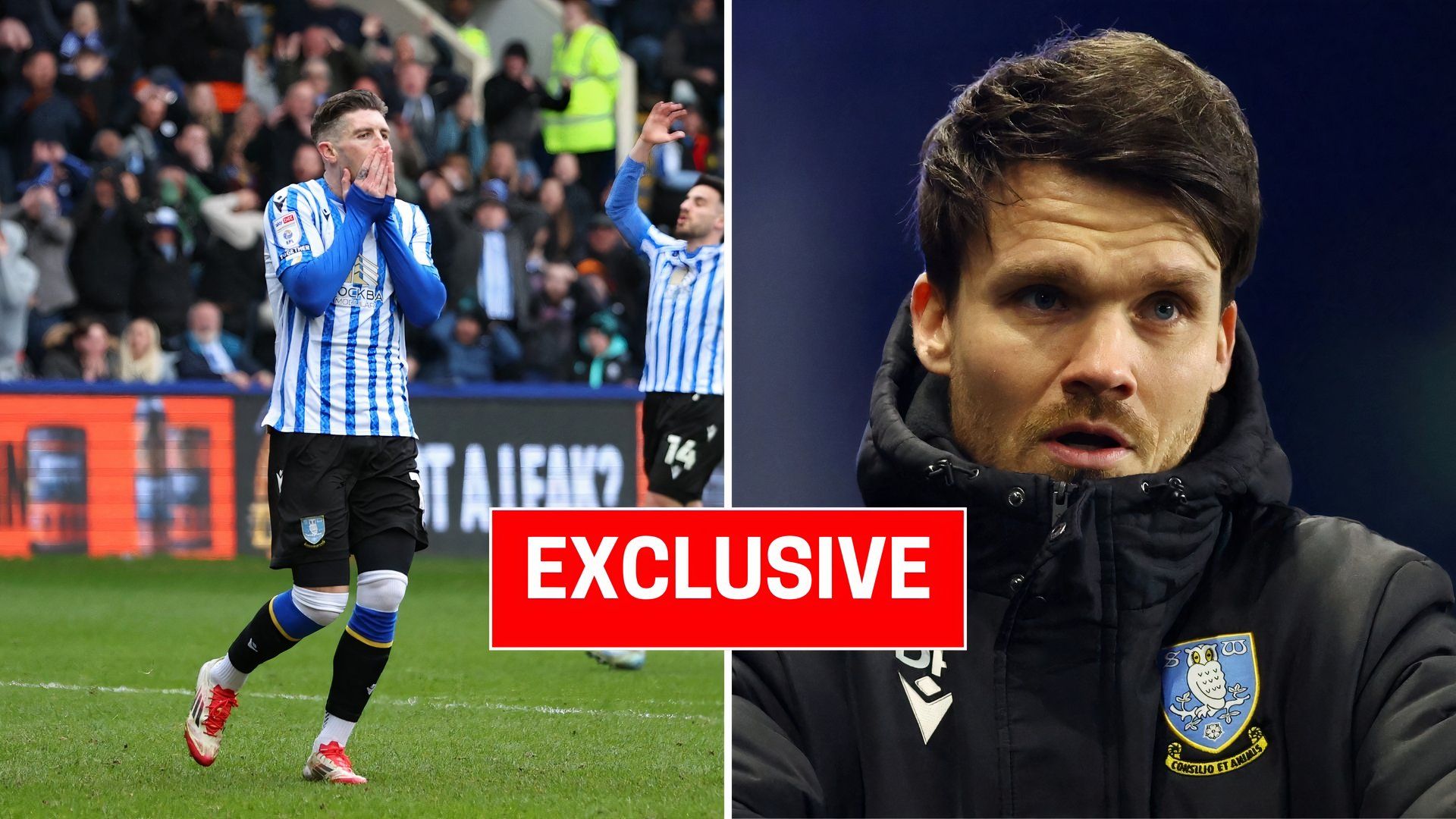Exclusive: Don Goodman gives ultimatum on Josh Windass, Sheffield ... Exclusive: Don Goodman gives ultimatum on Josh Windass, Sheffield ...