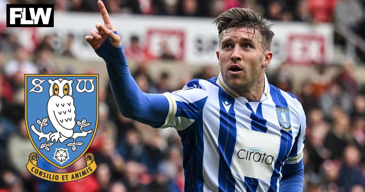 Sheffield Wednesday supporters must recognise Josh Windass' game ...