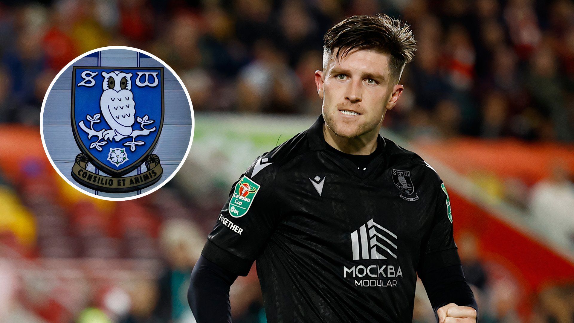 "What a night" - Josh Windass reacts to huge Sheffield Wednesday win v ...