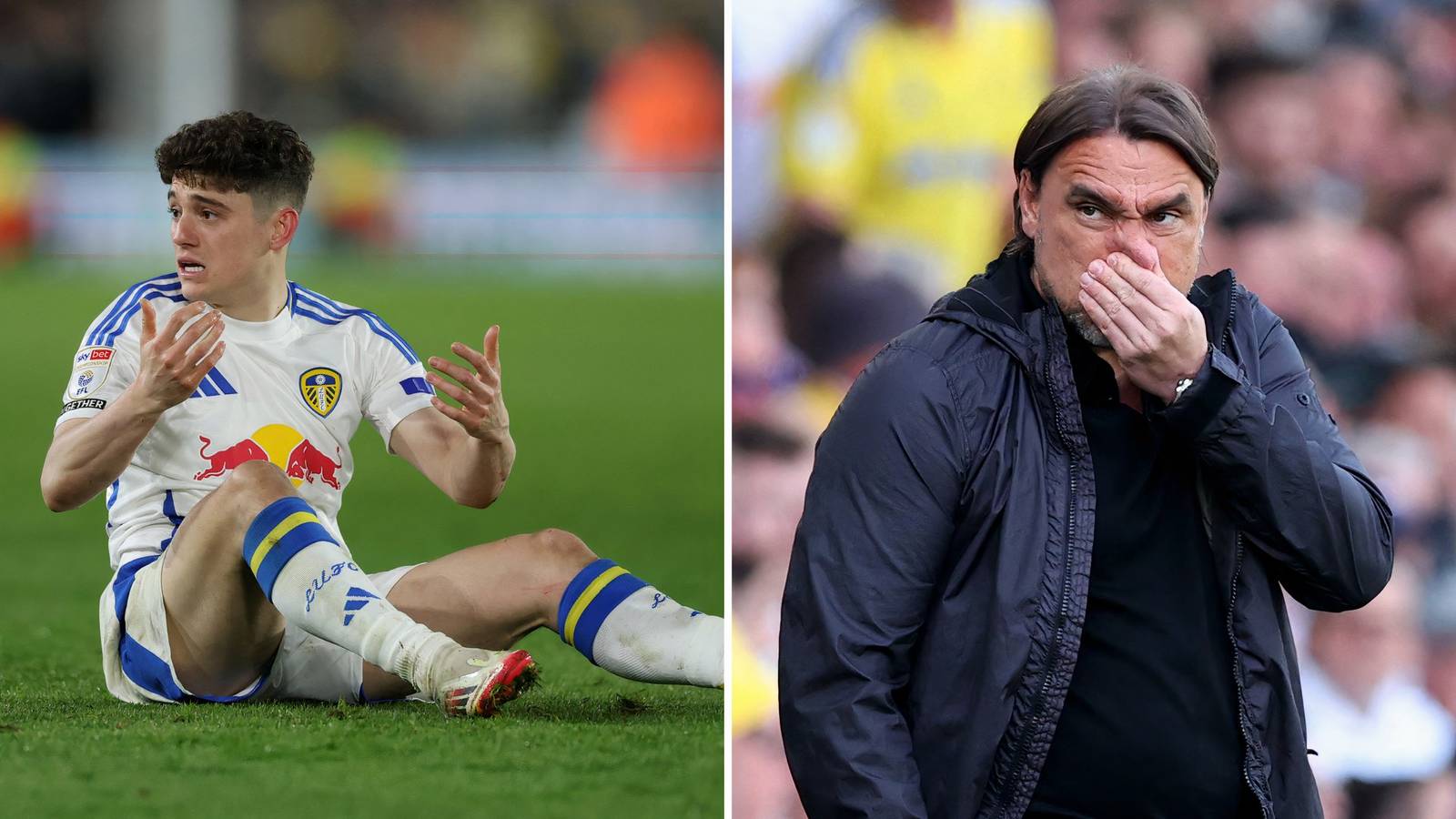 Daniel Farke confirms big Dan James news at Leeds United - it could be ...