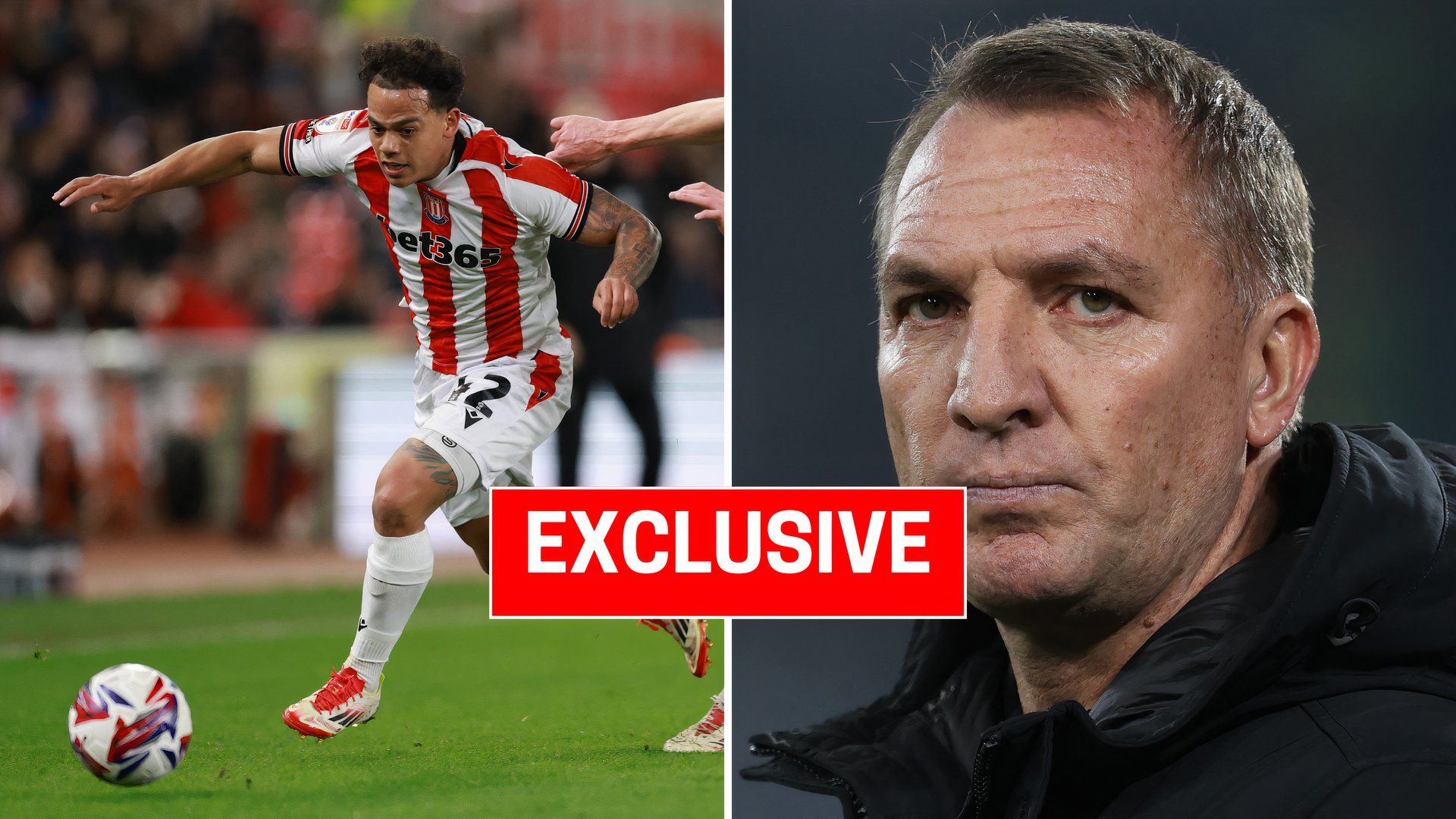 Exclusive: Celtic backed to secure Million Manhoef, Stoke City transfer ...